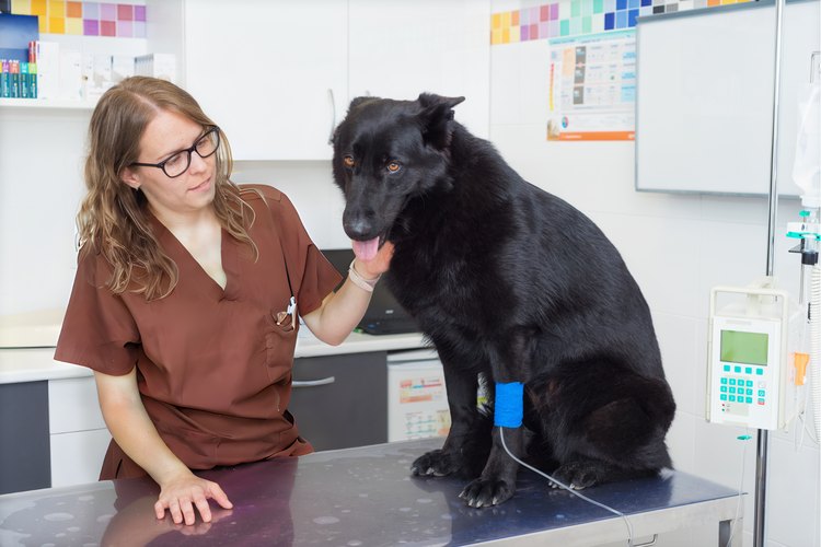 Products – pi Veterinary Consultants